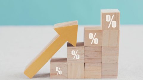 Understanding APR vs. Interest Rate | Wise Loan